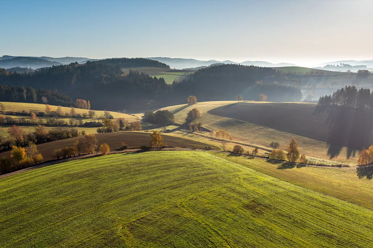 The Dirt on the Sale of Goods: Pine Valley Enterprises Inc. v Earthco ...